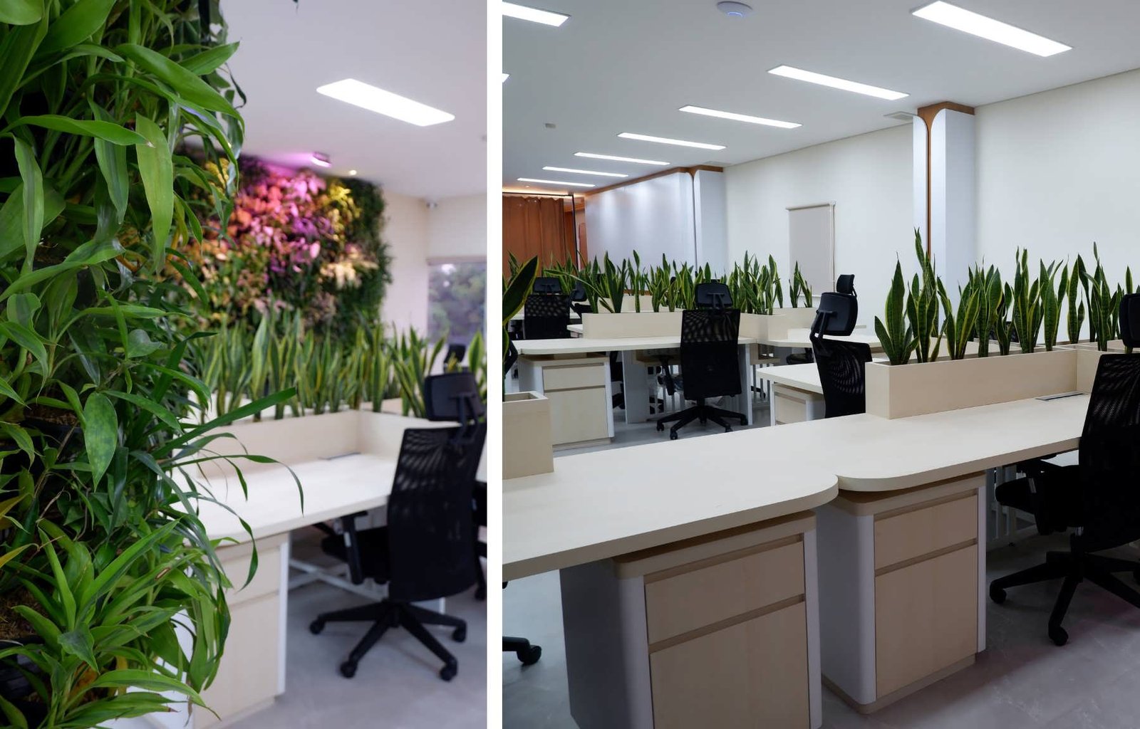 Jasa Interior Kantor Desain Ruang Kantor Modern - Ruang Kerja Modern ...